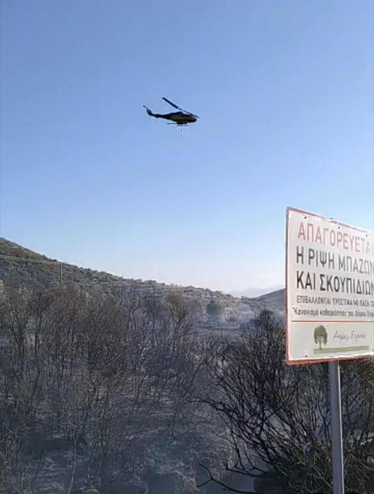 Κατασβέστηκε φωτιά που εκδηλώθηκε στην Καρίτσα