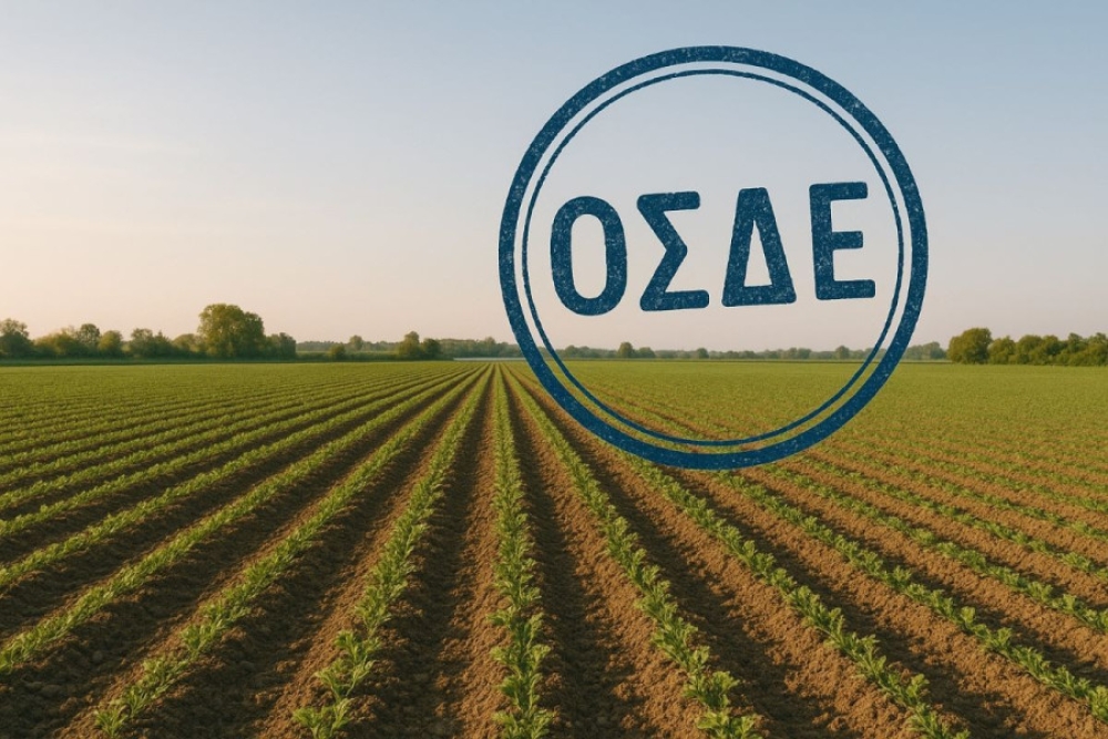 Παράταση έως 20 Αυγούστου για το ΟΣΔΕ 2025