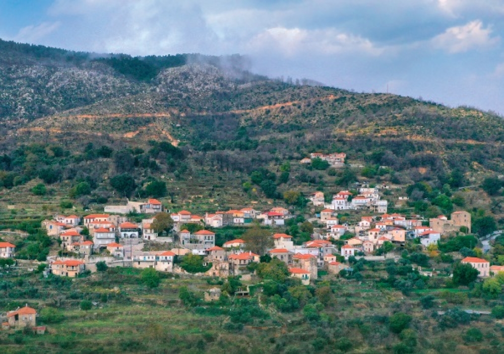 «Καστάνια της Μάνης πετρόμαχος»